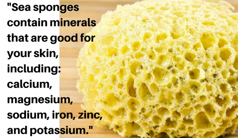 Seep the benefits of Sea Sponges